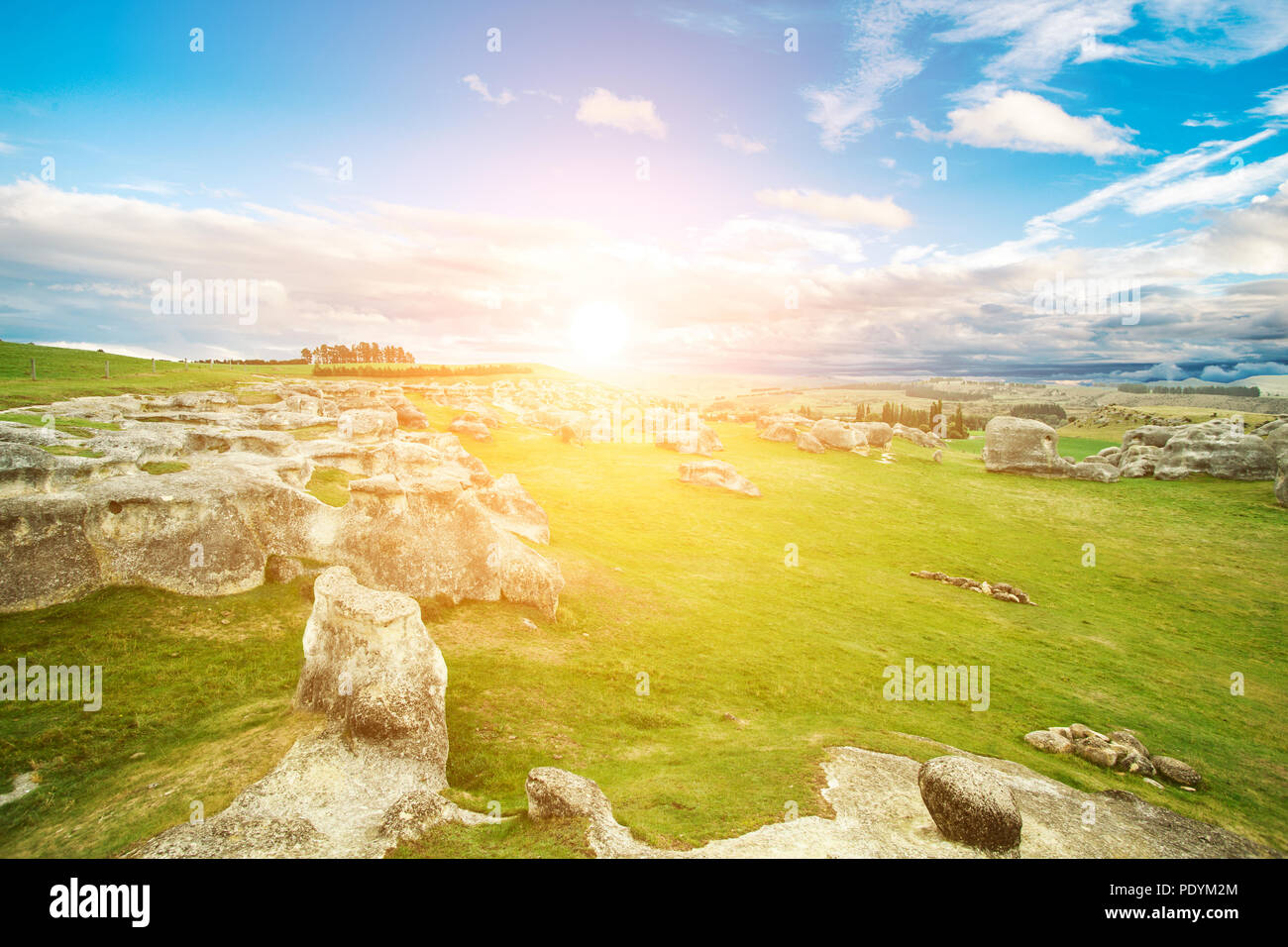 Waitaki elephant rocks hi-res stock photography and images - Alamy