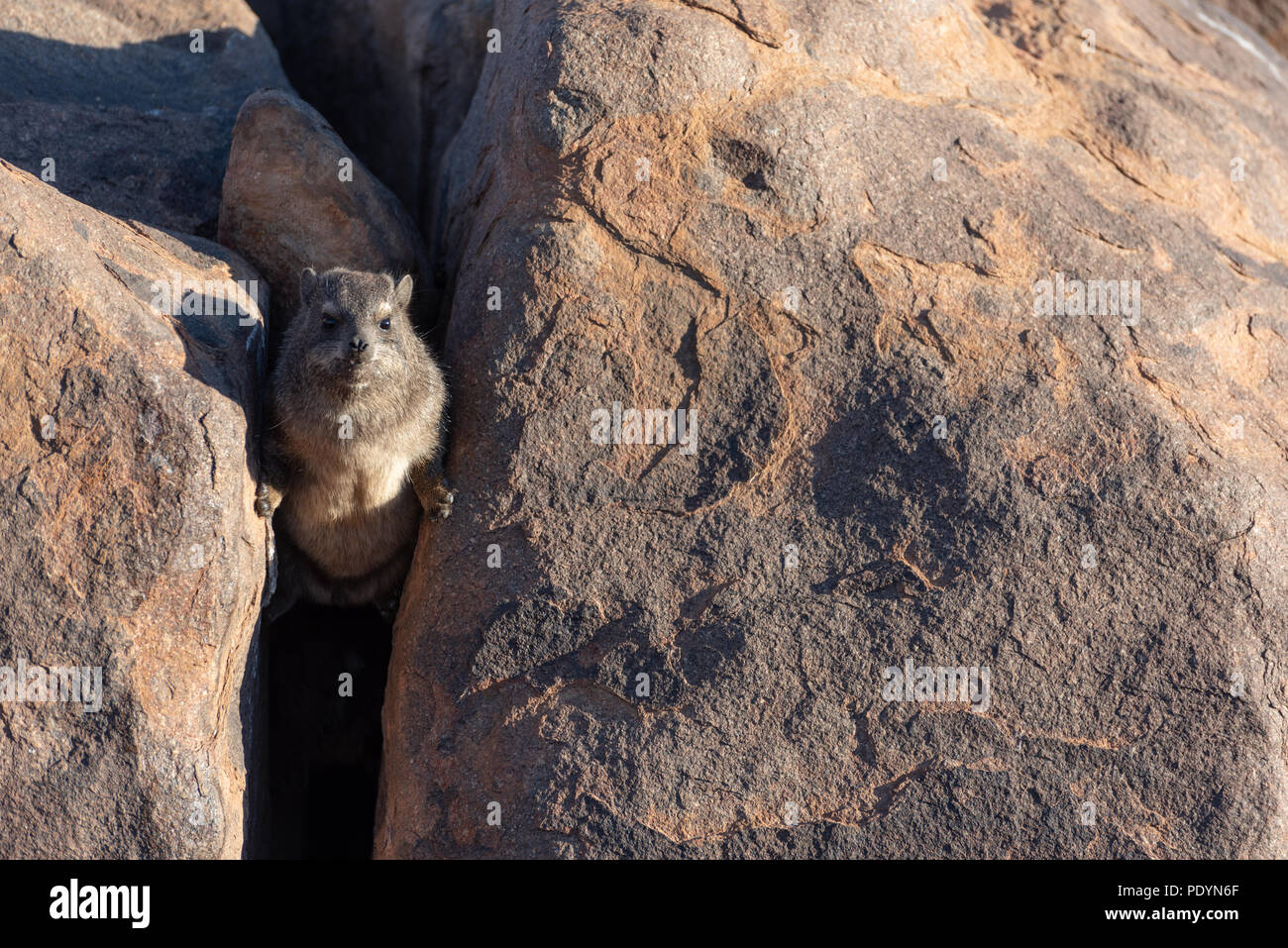 Funny looking rock hi-res stock photography and images - Alamy