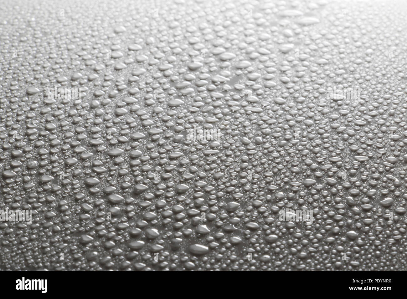 Water droplets beading on a white surface. Pattern of water ...