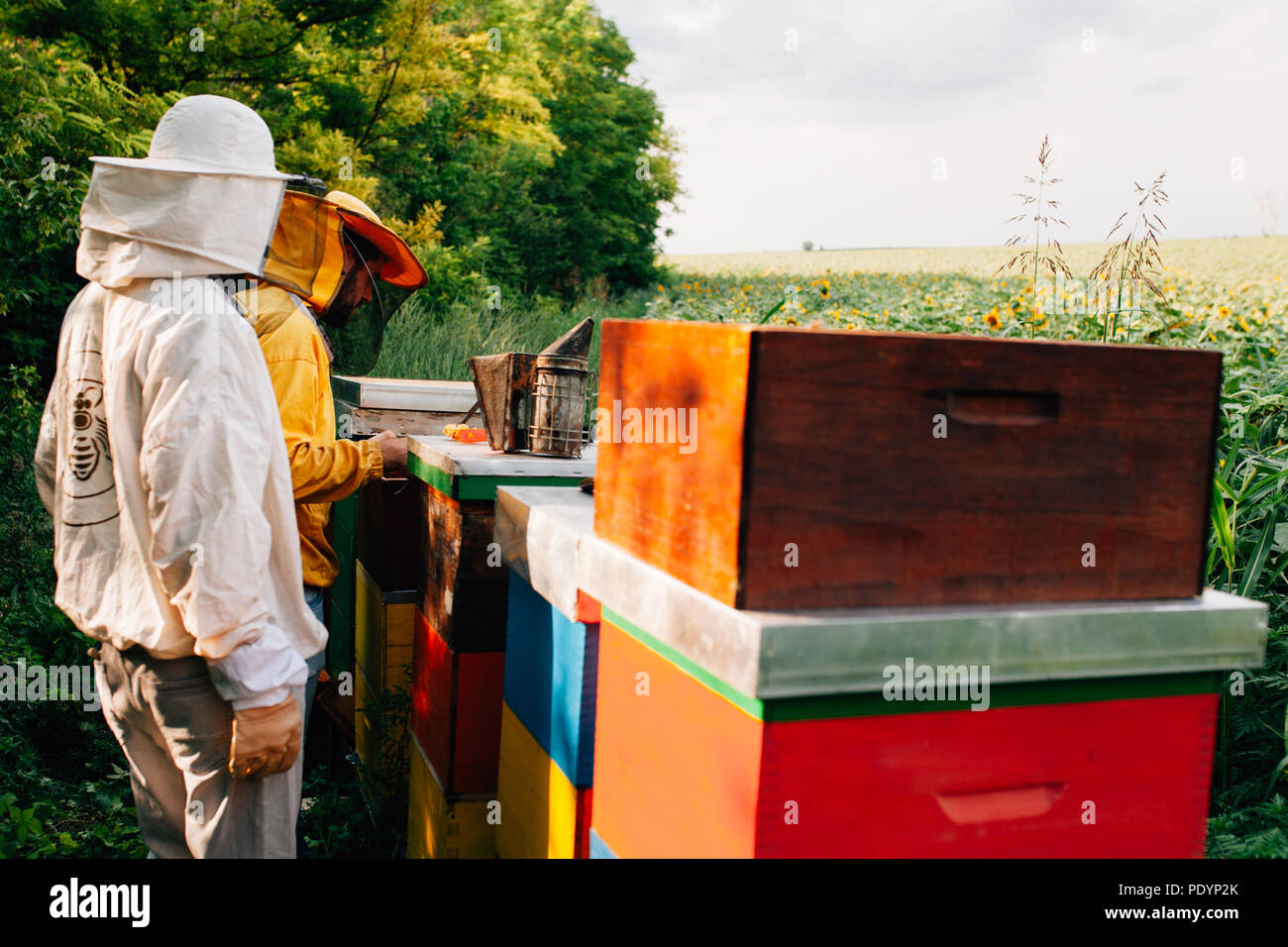 Movable frame bee hive hi-res stock photography and images - Alamy