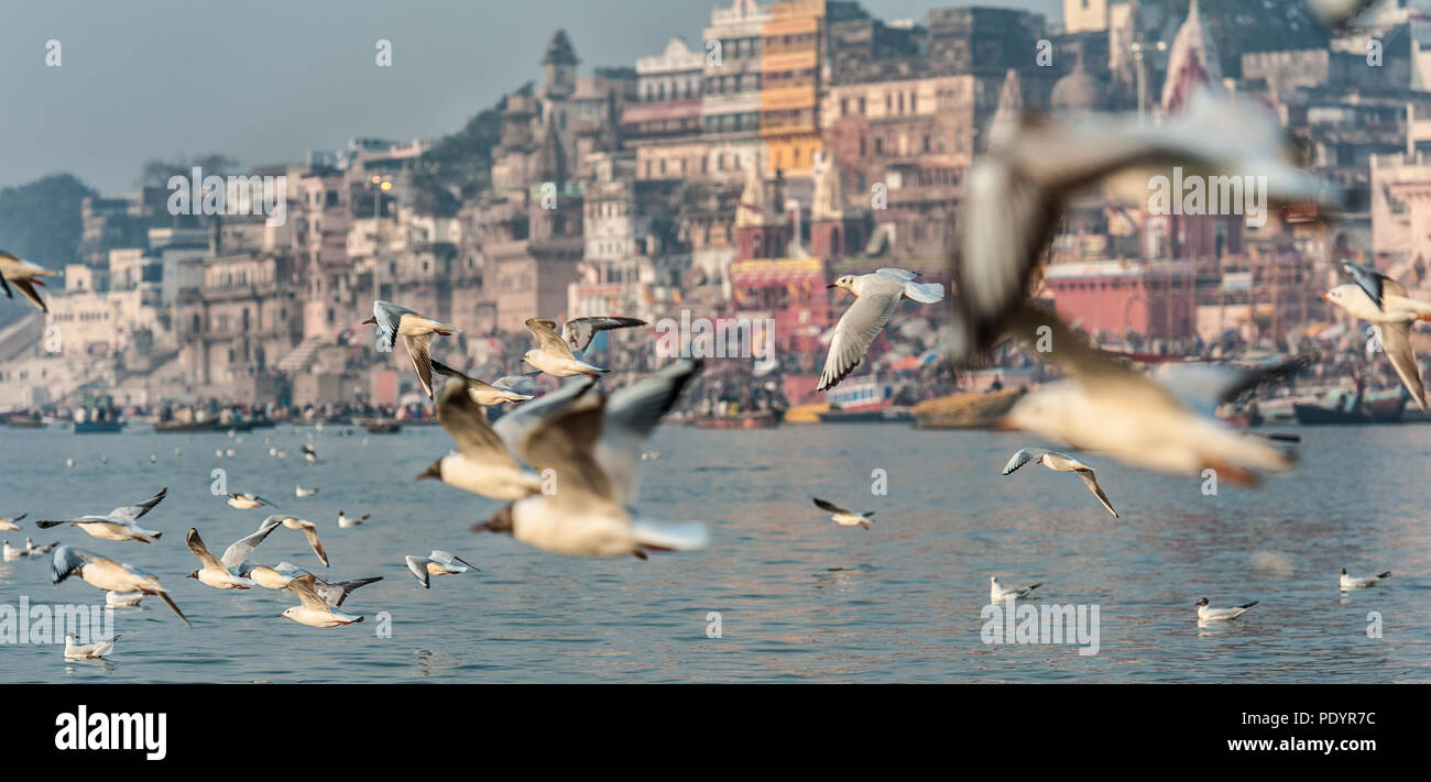 Landscape from the Ganga River of Varanasi holy town, Uttar Pradesh ...