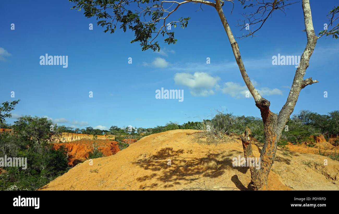 Hells Kitchen Canyon of Marafa in Keyna Stock Photo - Alamy
