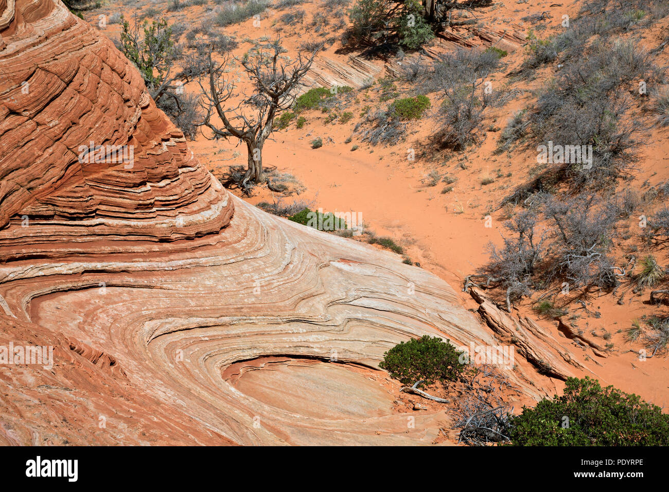 AZ00245-00...ARIZONA - Colorful tilted layers showing a wide mixture of ...