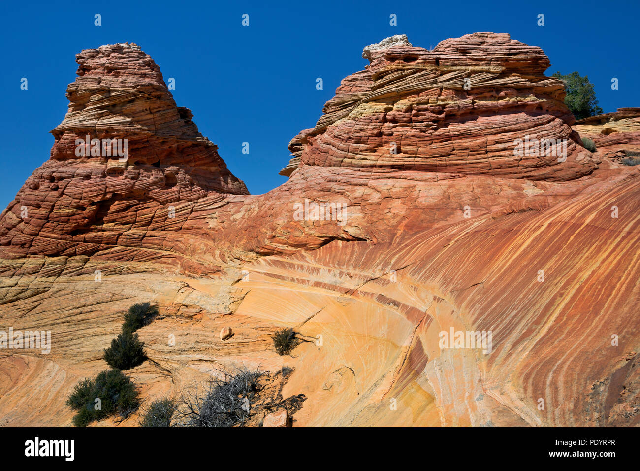 AZ00246-00...ARIZONA - Colorful buttes in Cottonwood Cove in the Coyote ...