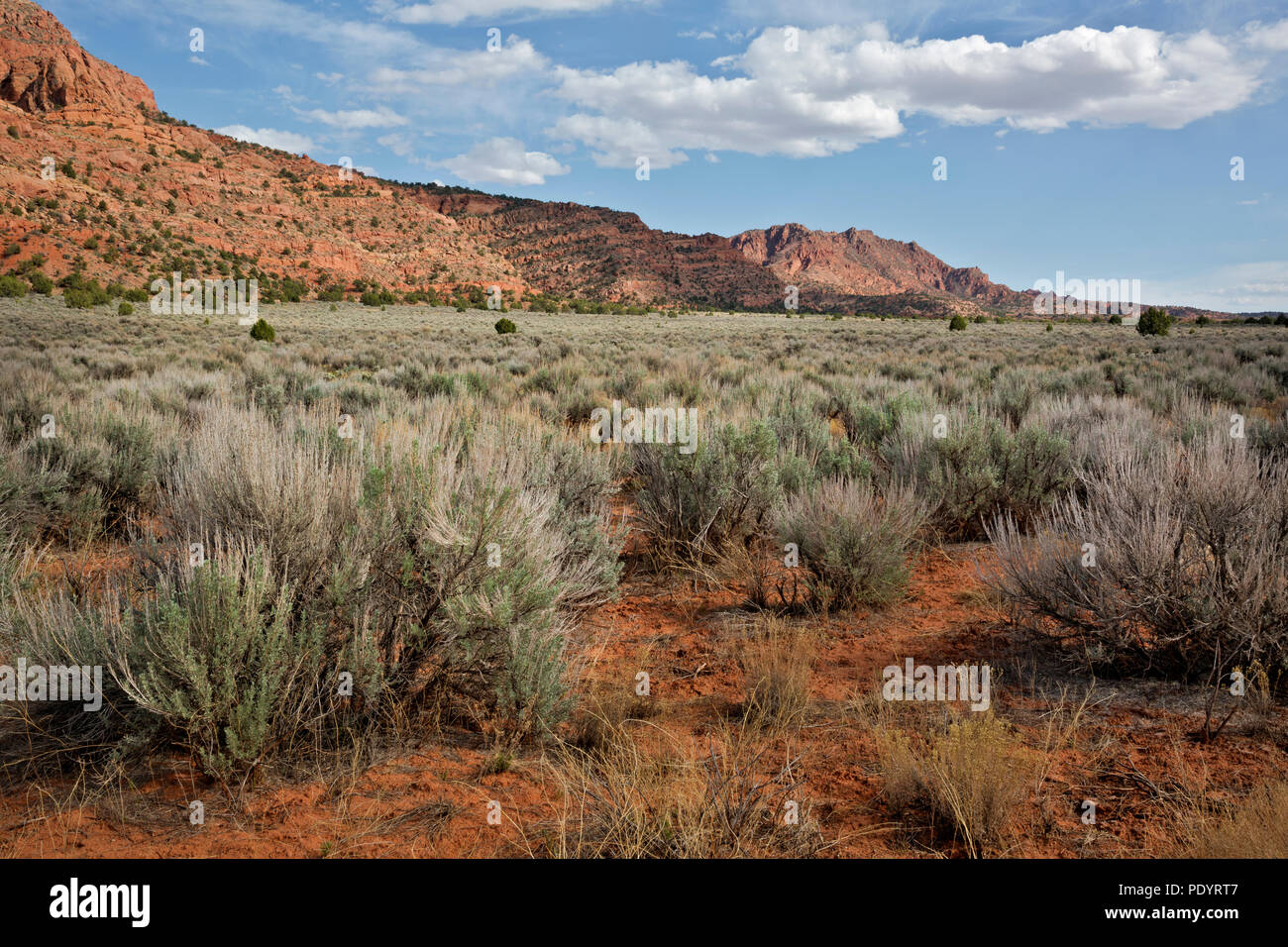 House in wilderness hi-res stock photography and images - Alamy