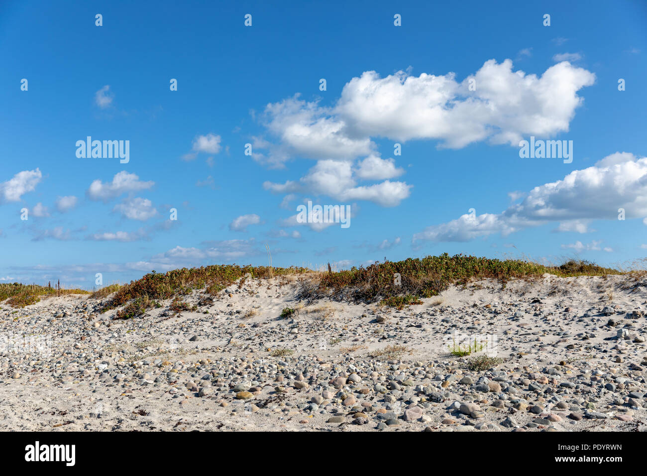 Dunes by the beach, Laesoe, Denmark Stock Photo - Alamy