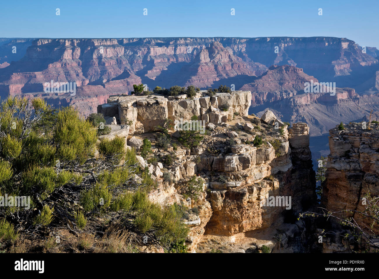 AZ00261-00...ARIZONA - View of the canyon from Moran Point in Grand ...