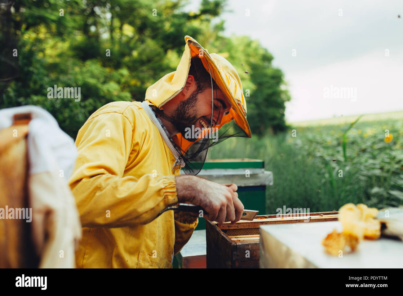 Happy beekeeper working in his apiary Stock Photo - Alamy