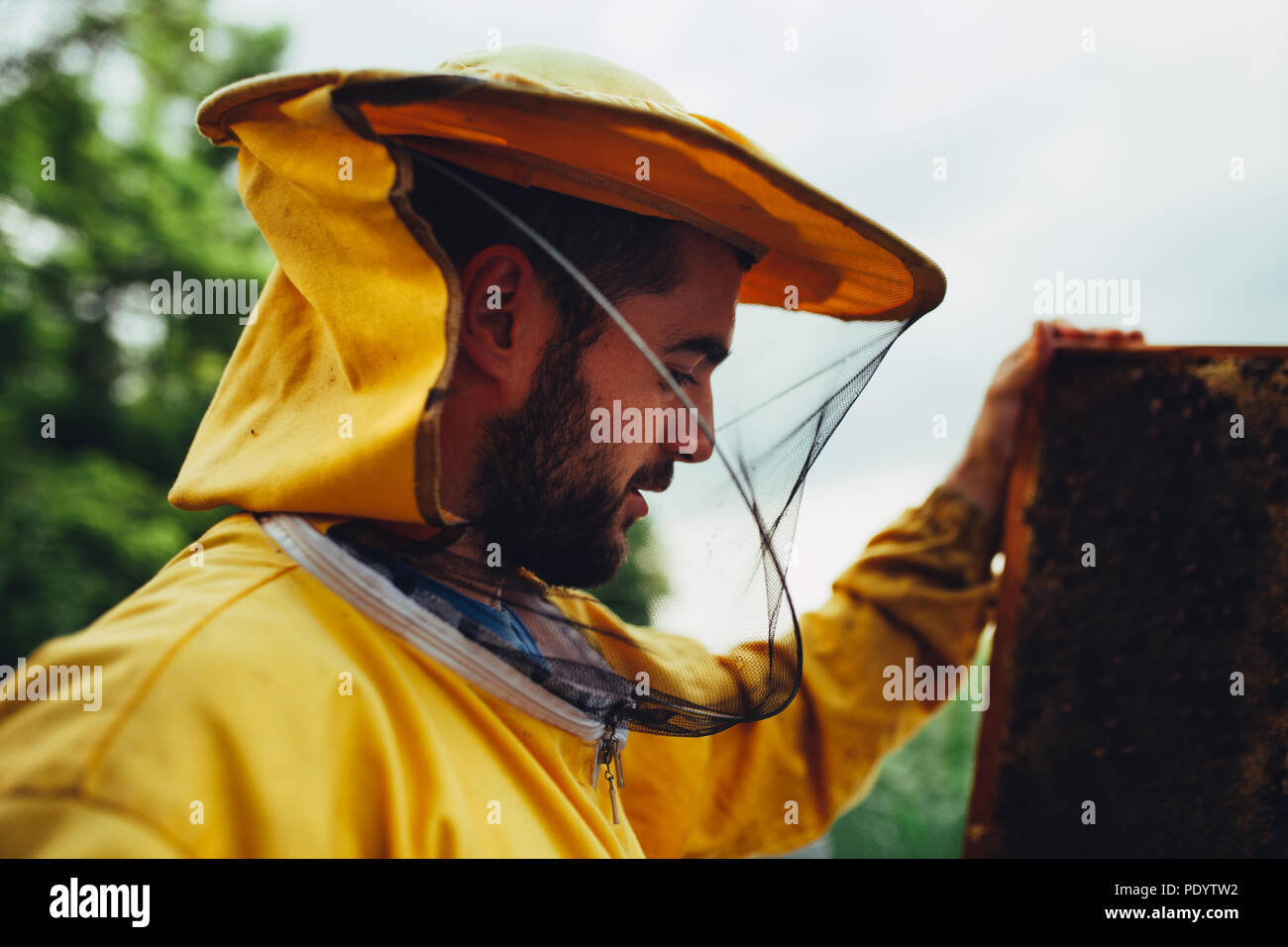 Inspecting insects hi-res stock photography and images - Alamy