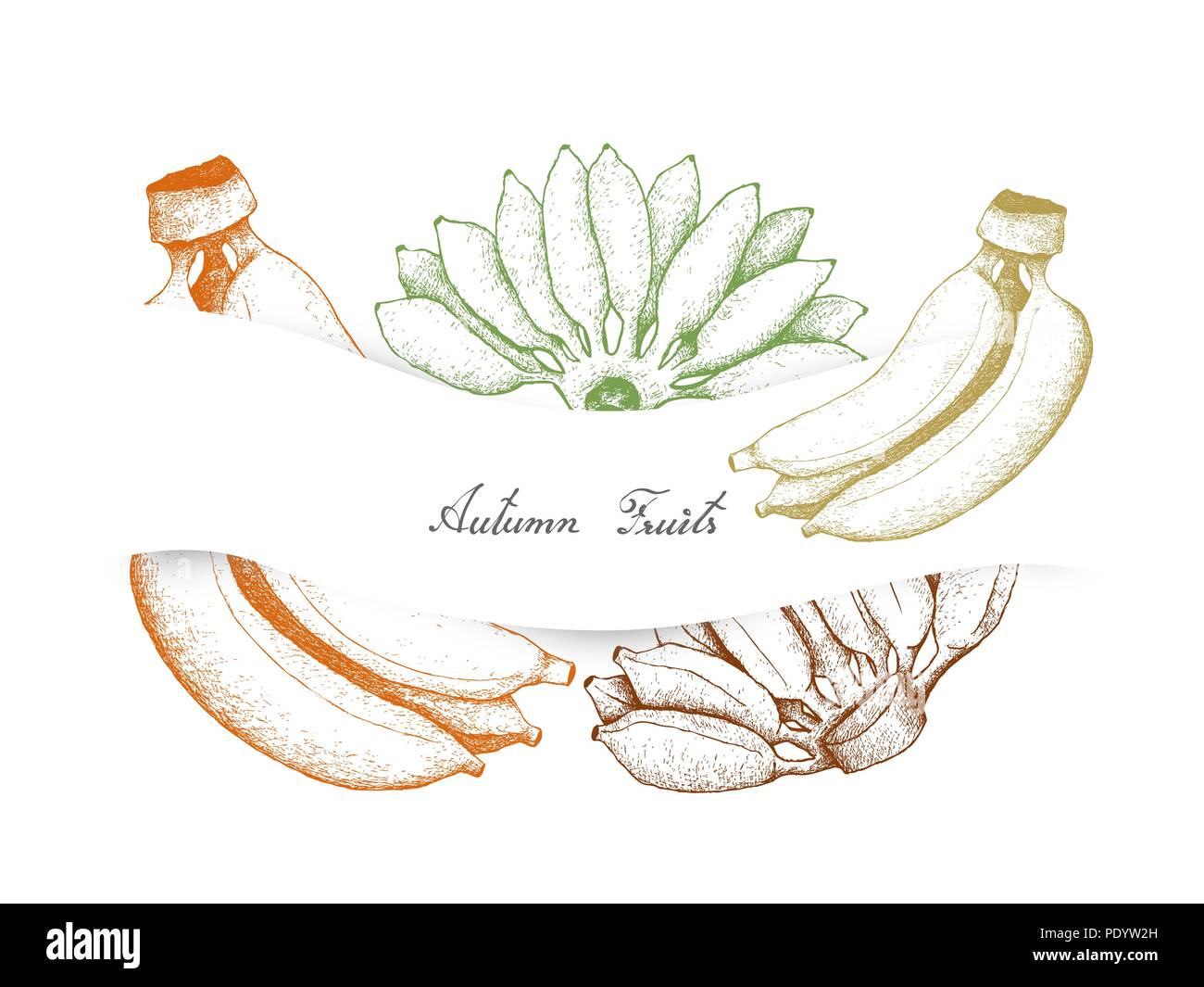 Pisang mas hi-res stock photography and images - Alamy