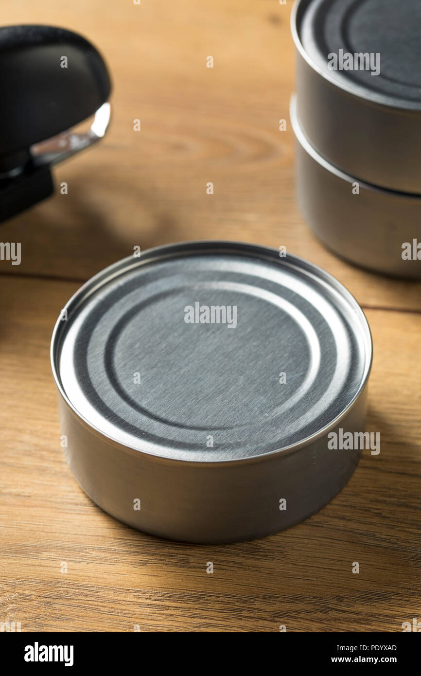 Organic Raw Canned Tuna Fish Ready to Eat Stock Photo - Alamy