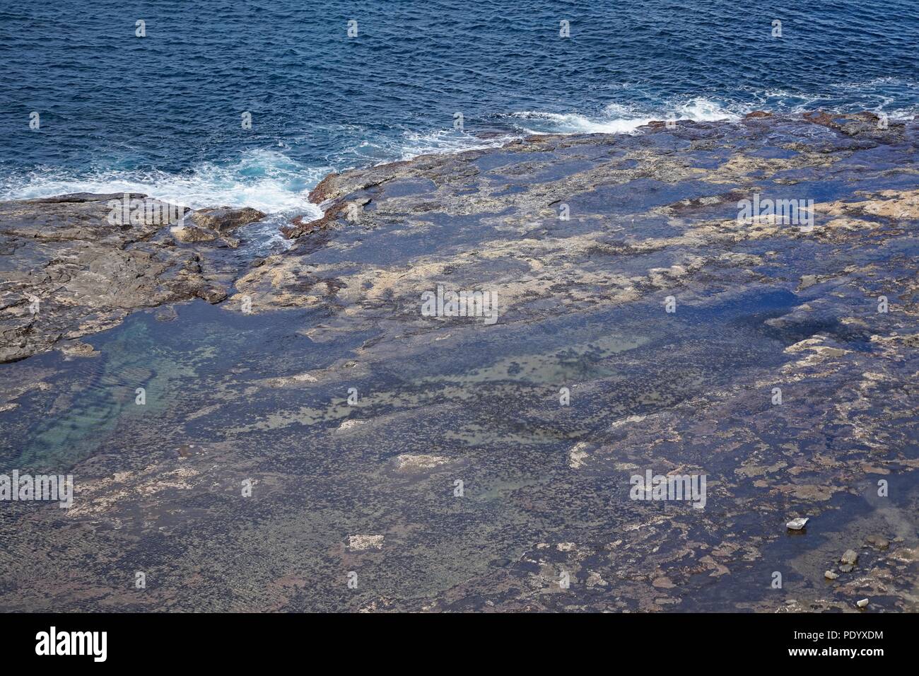 Rock shelf on the coast of Australia, with rockpools. View from a cliff ...