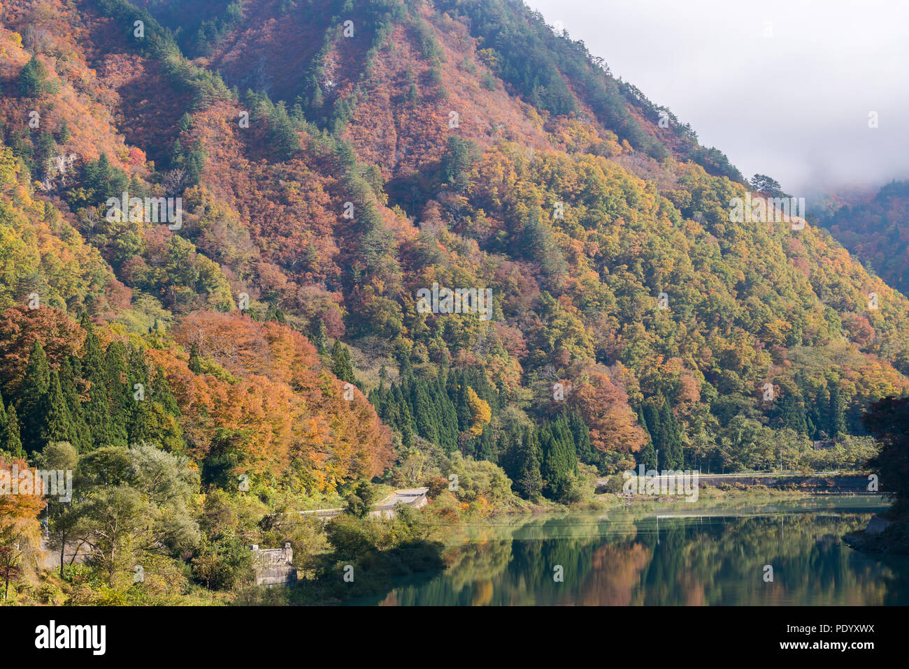 Beauty of koyo hi-res stock photography and images - Alamy