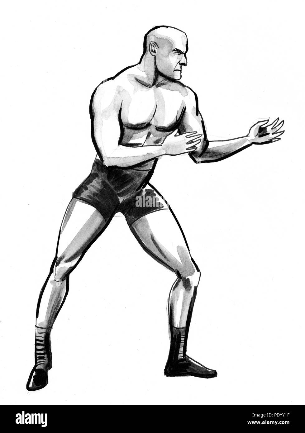 Strong bald wrestler. Ink black and white illustration Stock Photo - Alamy