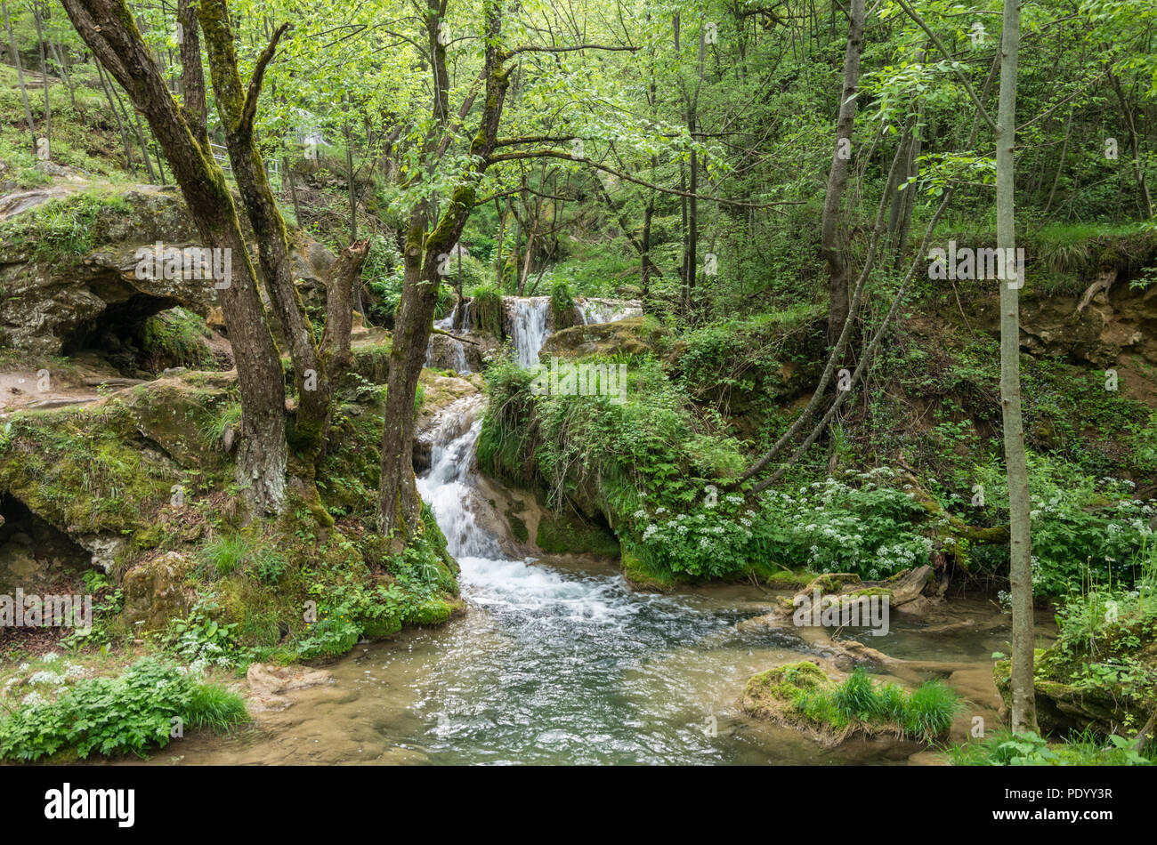 Gostilje waterfalls in Zlatibor, Serbia Stock Photo - Alamy
