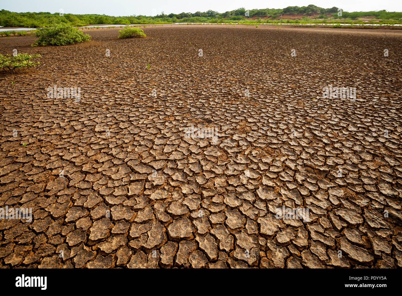 Parque nacional sarigua panama hi-res stock photography and images - Alamy