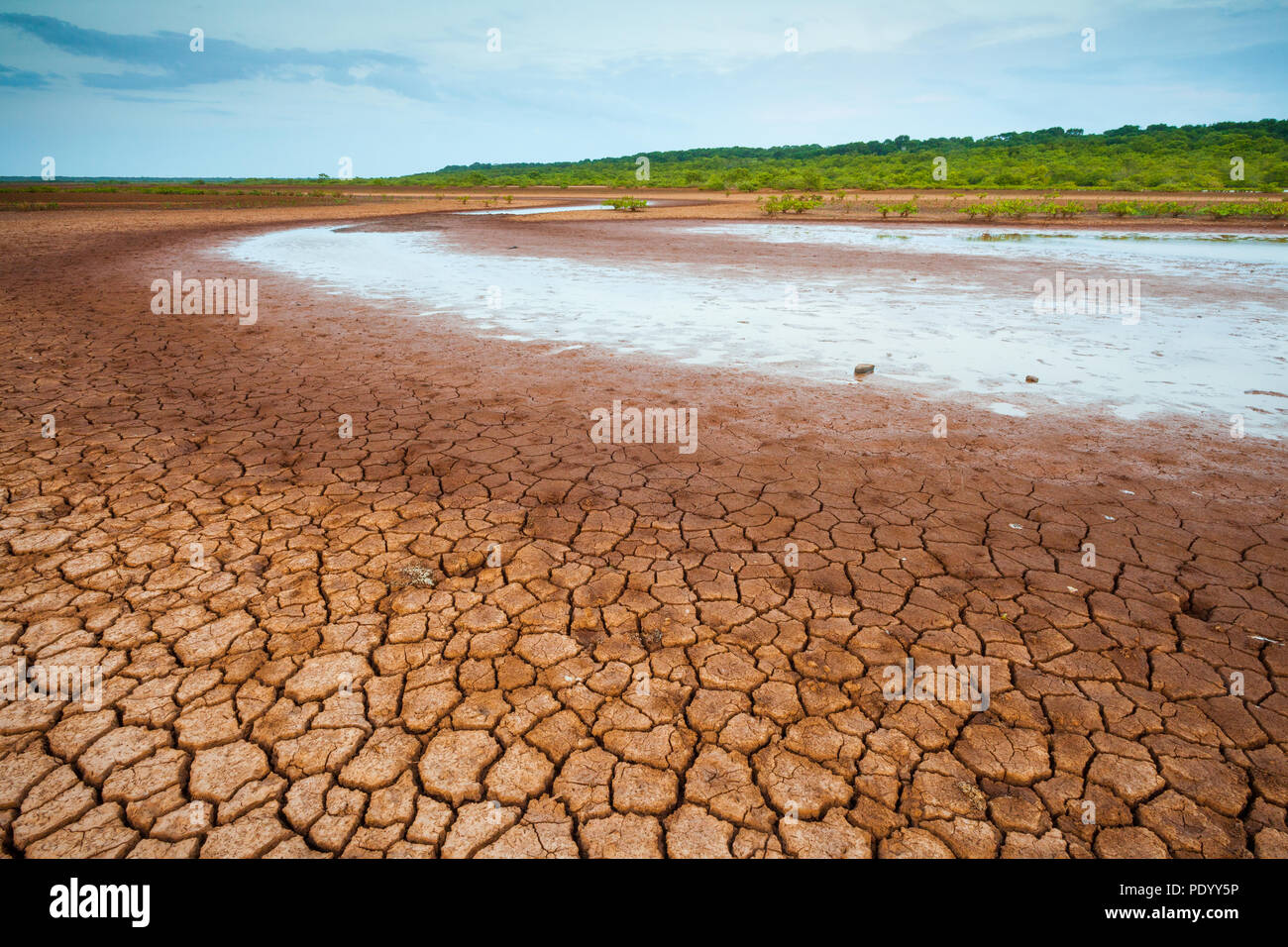 Parque nacional sarigua panama hi-res stock photography and images - Alamy