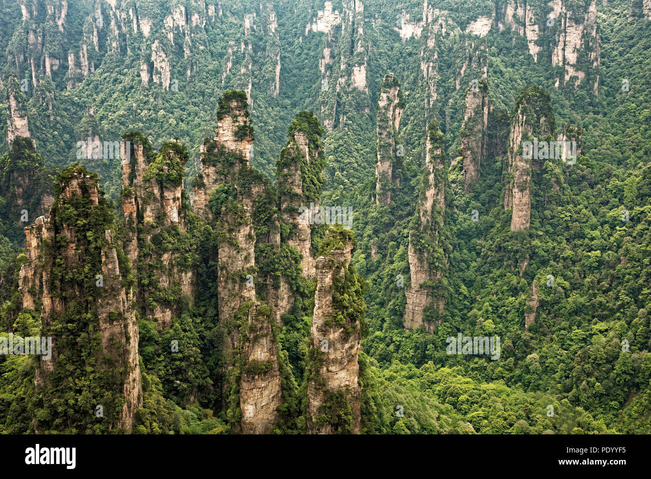 Dianjiang Terrace rock formations in the Tianzi Mountains, part of the ...