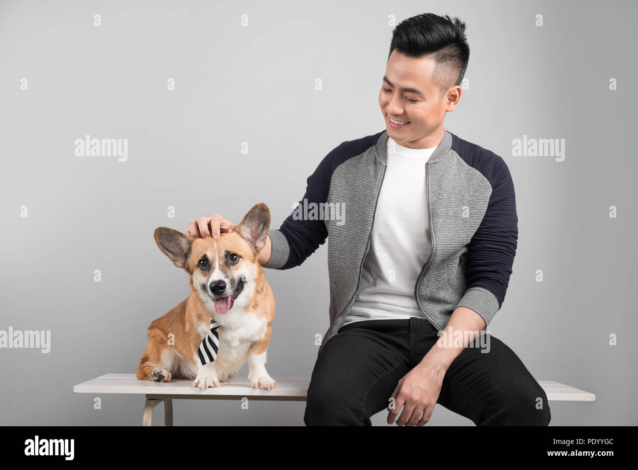 Hand on dogs head hi-res stock photography and images - Alamy