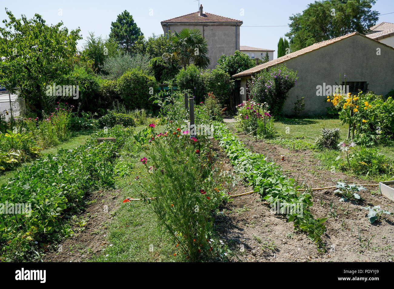 Vegetable garden, Livron, Drôme, France Stock Photo - Alamy