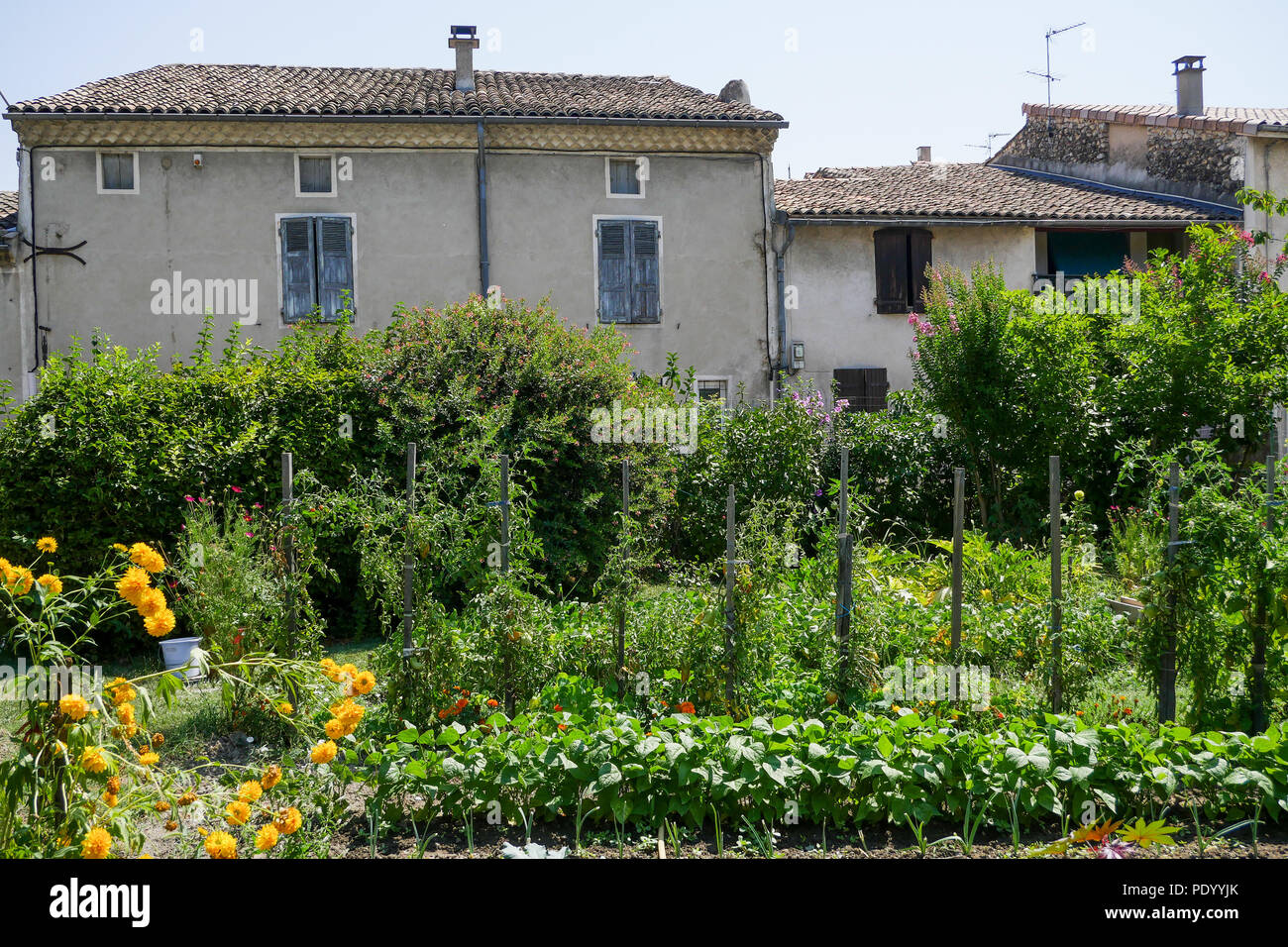 Vegetable garden, Livron, Drôme, France Stock Photo - Alamy
