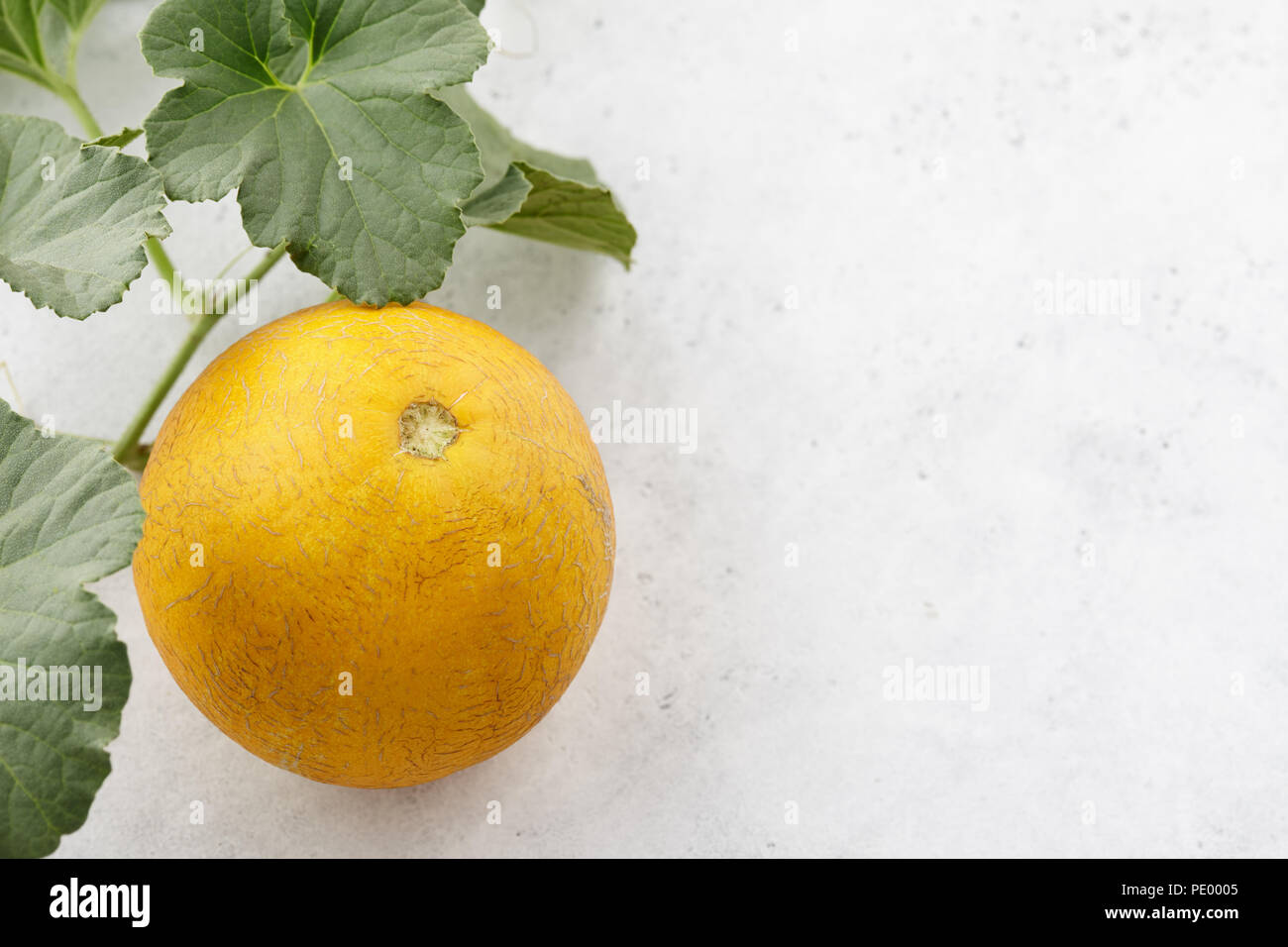 Closeup of fresh melon hi-res stock photography and images - Alamy