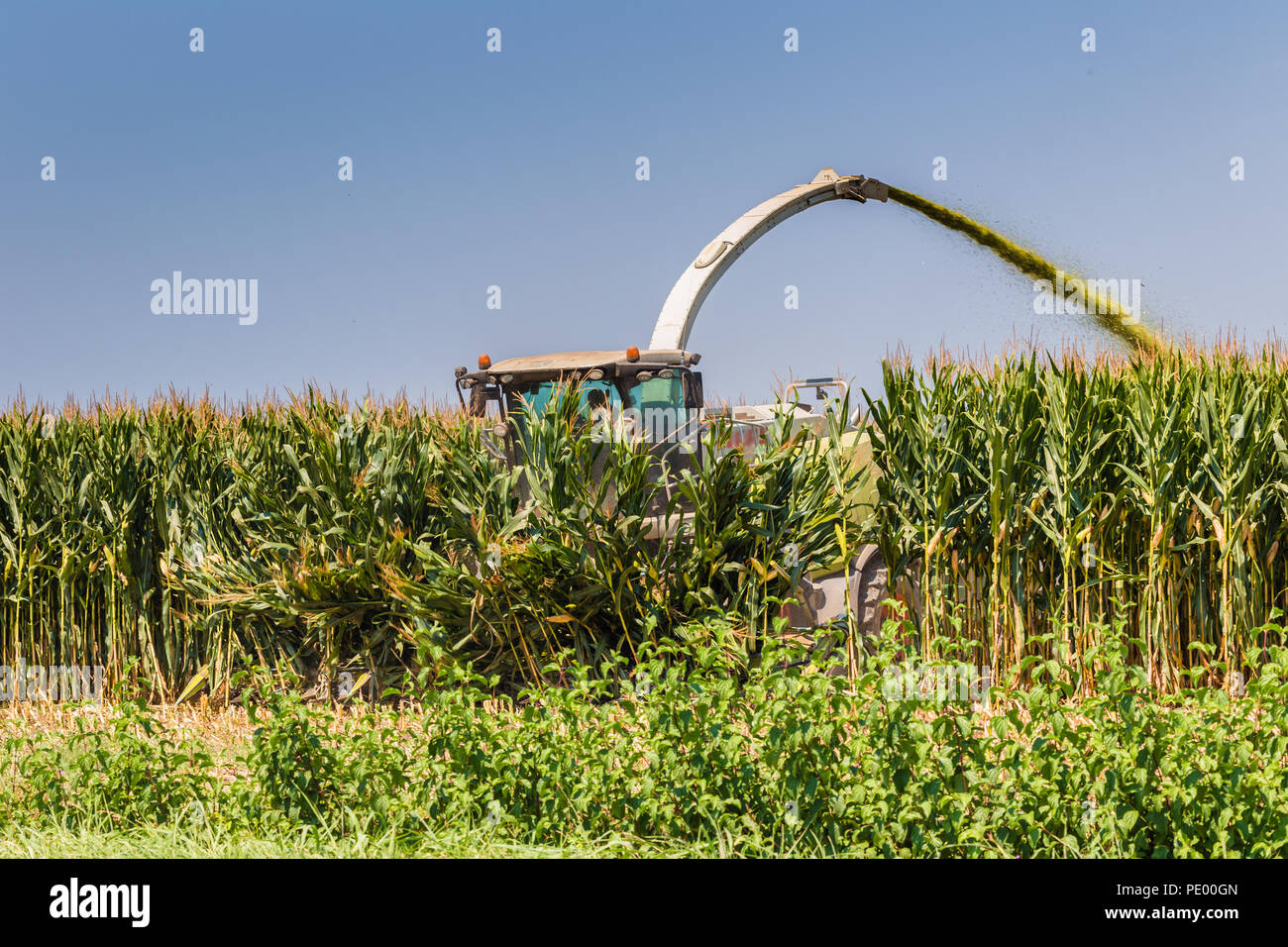 Machine cut hi-res stock photography and images - Alamy