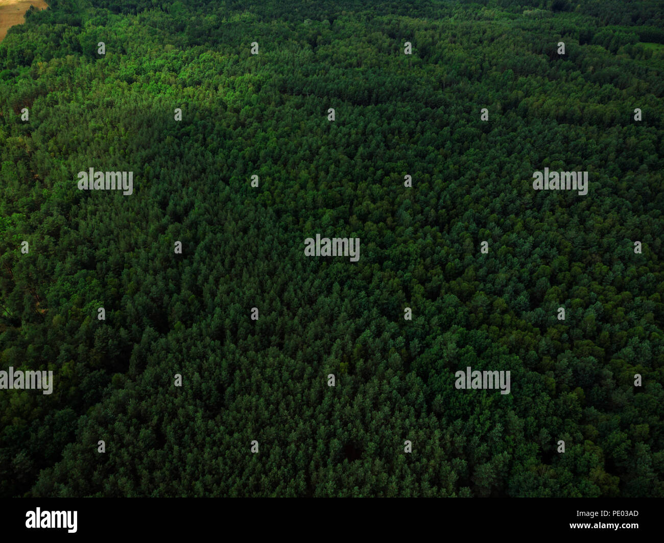 Jungle canopy, birds eye view hi-res stock photography and images - Alamy