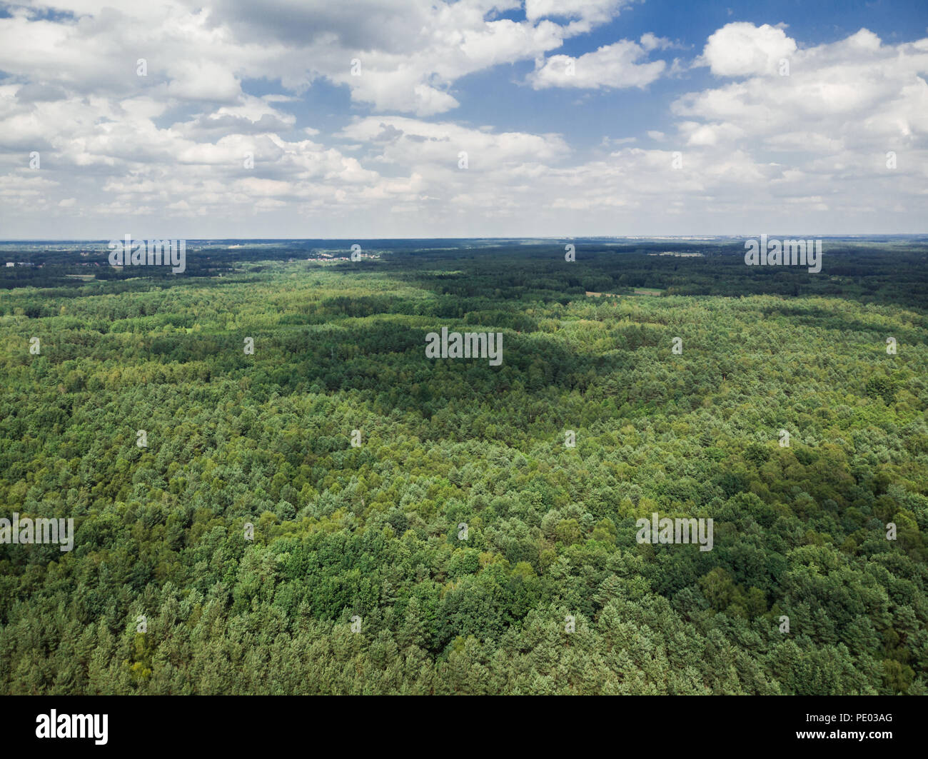 Jungle canopy, birds eye view hi-res stock photography and images - Alamy