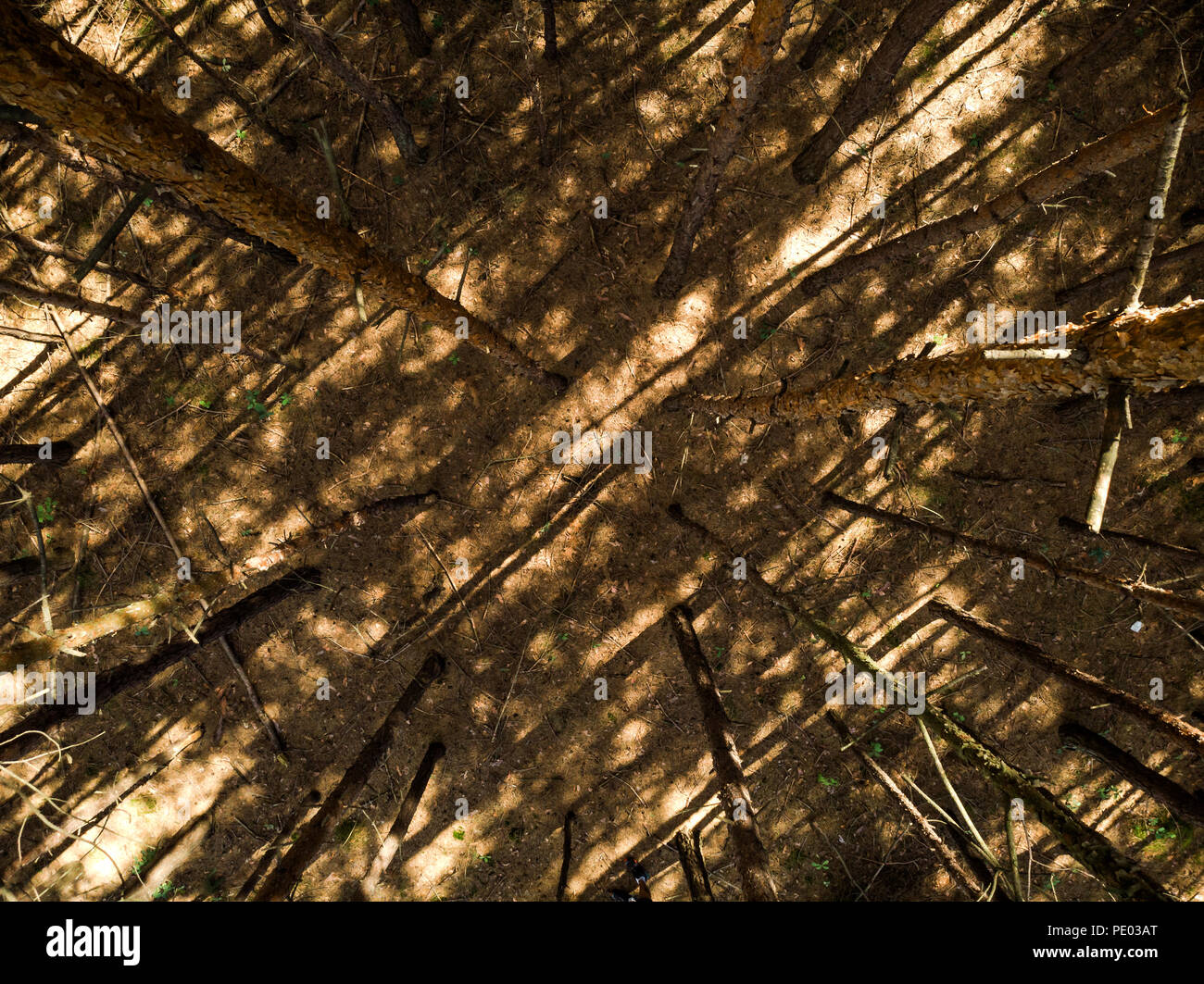 Background top down aerial tall hi-res stock photography and images - Alamy