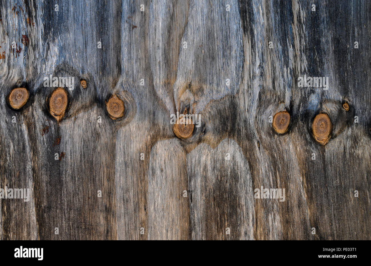 close up of rustic wood grain with row of burls Stock Photo - Alamy