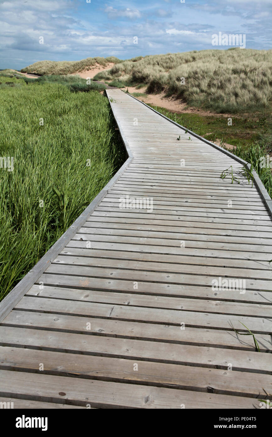 Boardwalk raised wooden walkway wooden hi-res stock photography and ...