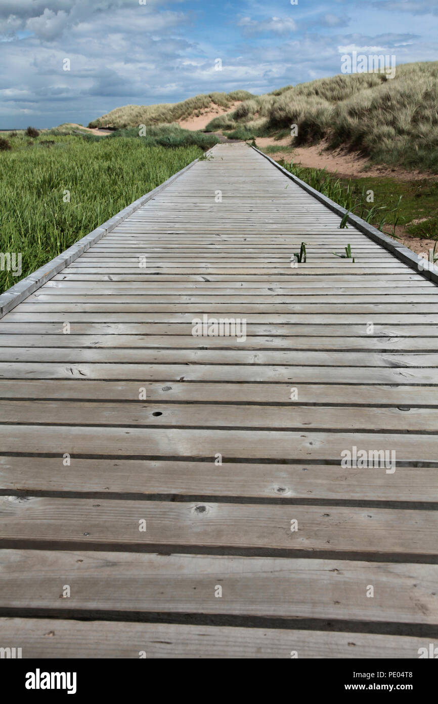 Timber boardwalk at beach Stock Photo - Alamy