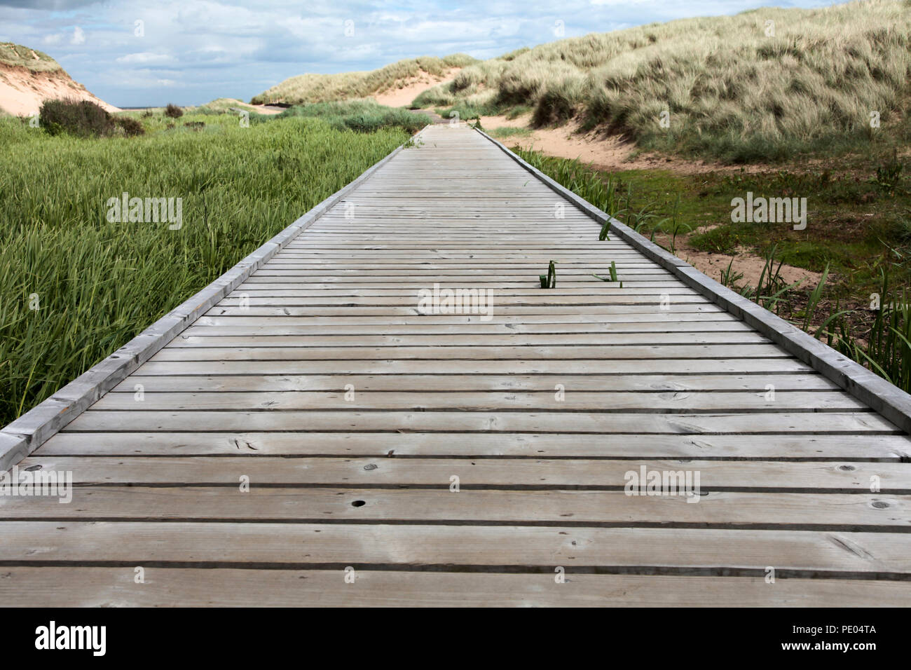 Timber boardwalk hi-res stock photography and images - Alamy