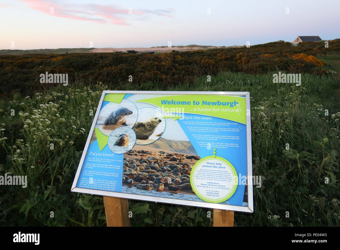 Newburgh beach hi-res stock photography and images - Alamy