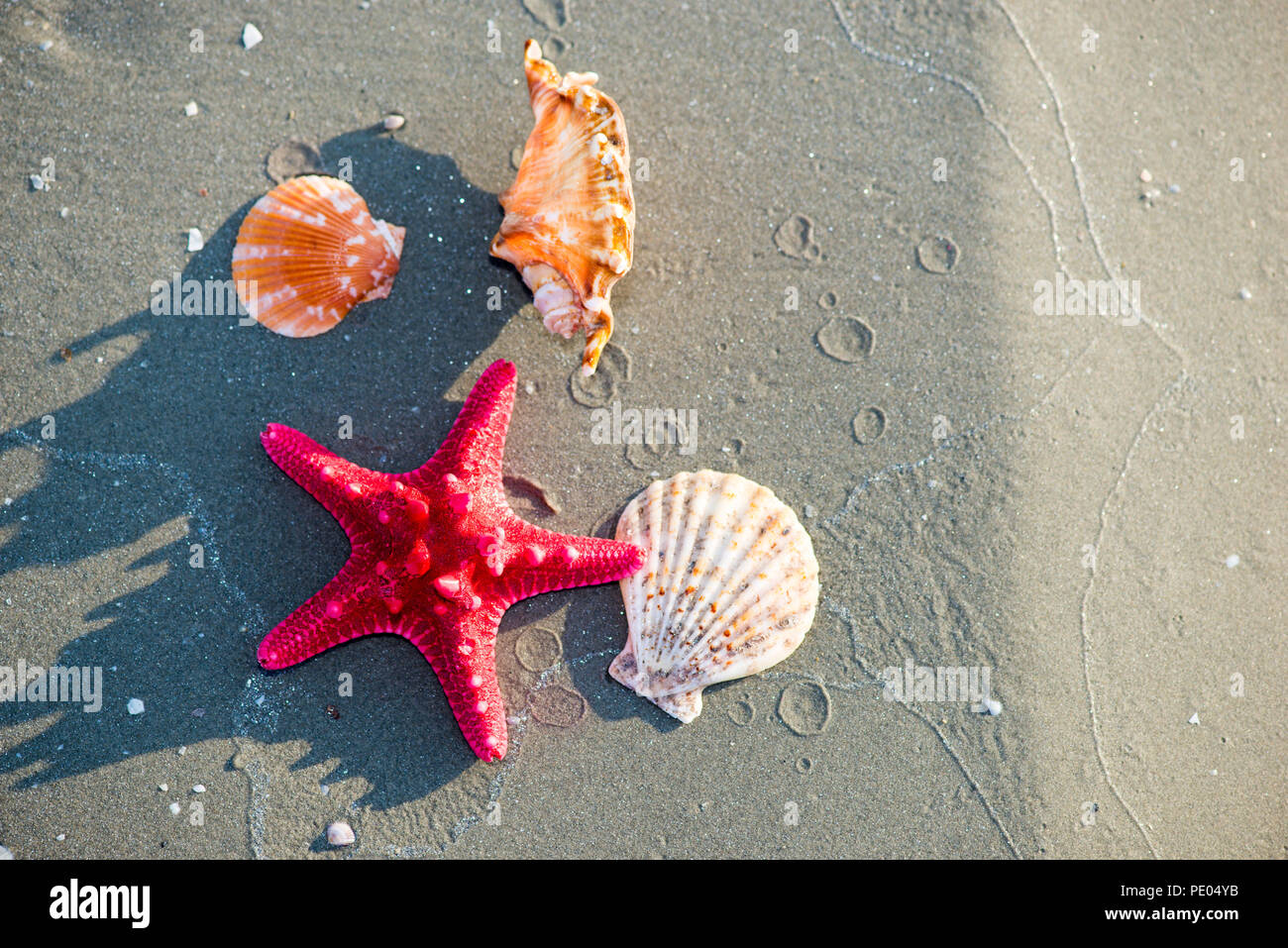 Warm texture beautiful lagoon beach hi-res stock photography and images ...
