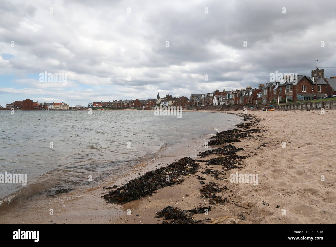 Berwick scotland hi-res stock photography and images - Alamy