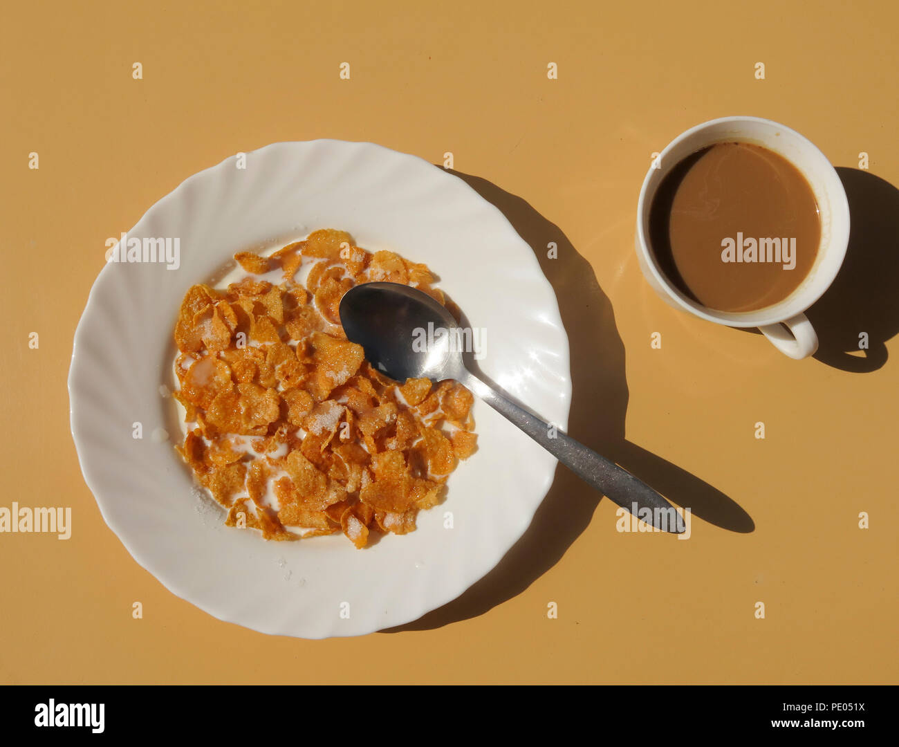 Plate of cornflakes on table in sunshine Stock Photo - Alamy