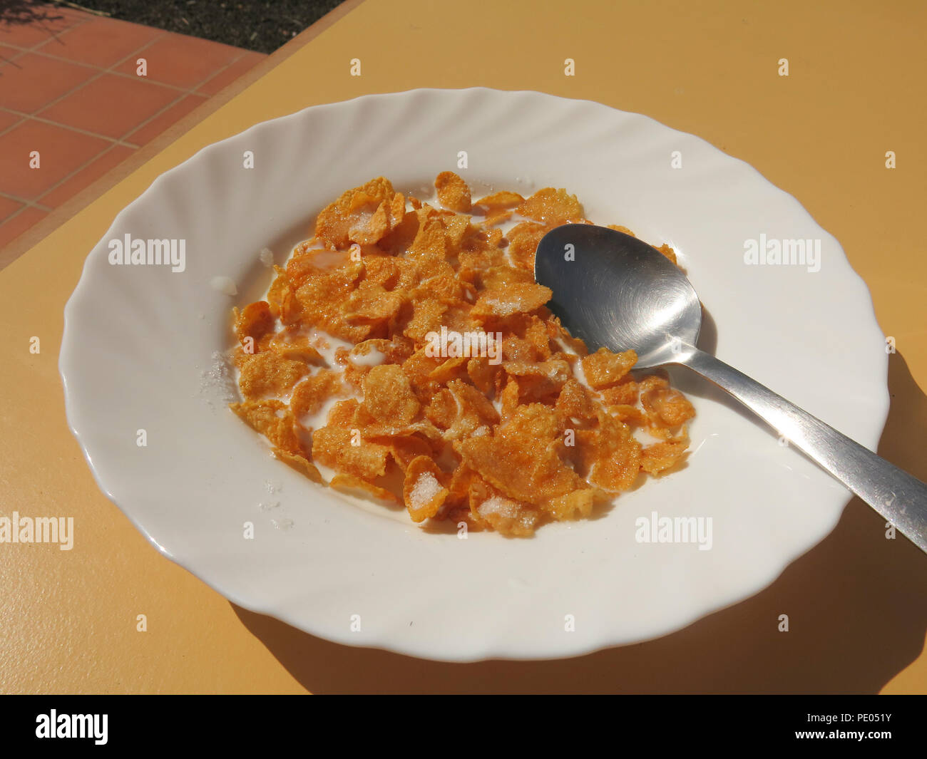 Plate of cornflakes on table in sunshine Stock Photo - Alamy