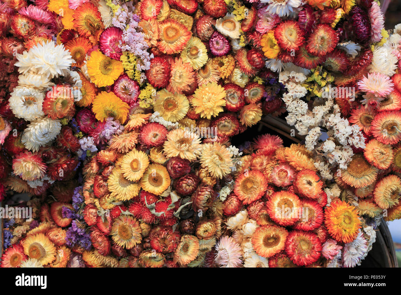 Market of flowers hi-res stock photography and images - Alamy
