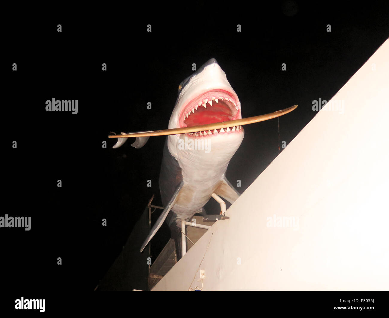 Shark model eating surfboard over shop Stock Photo - Alamy