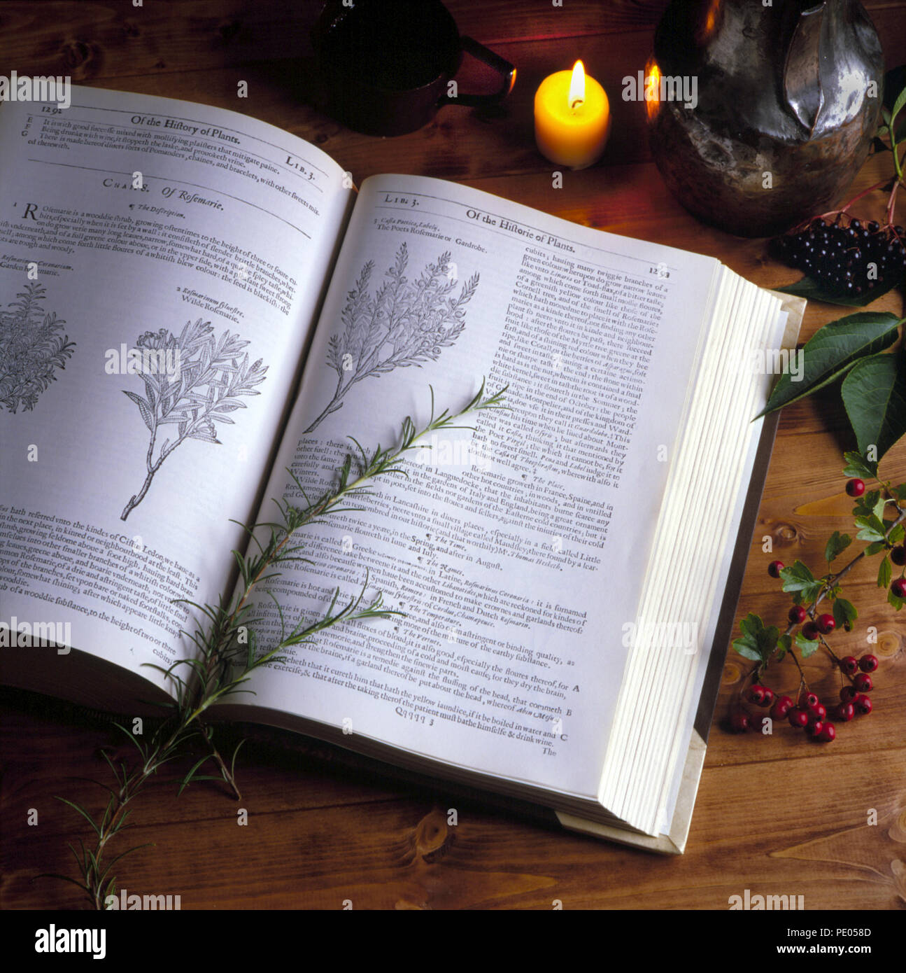 History of plants hi-res stock photography and images - Alamy