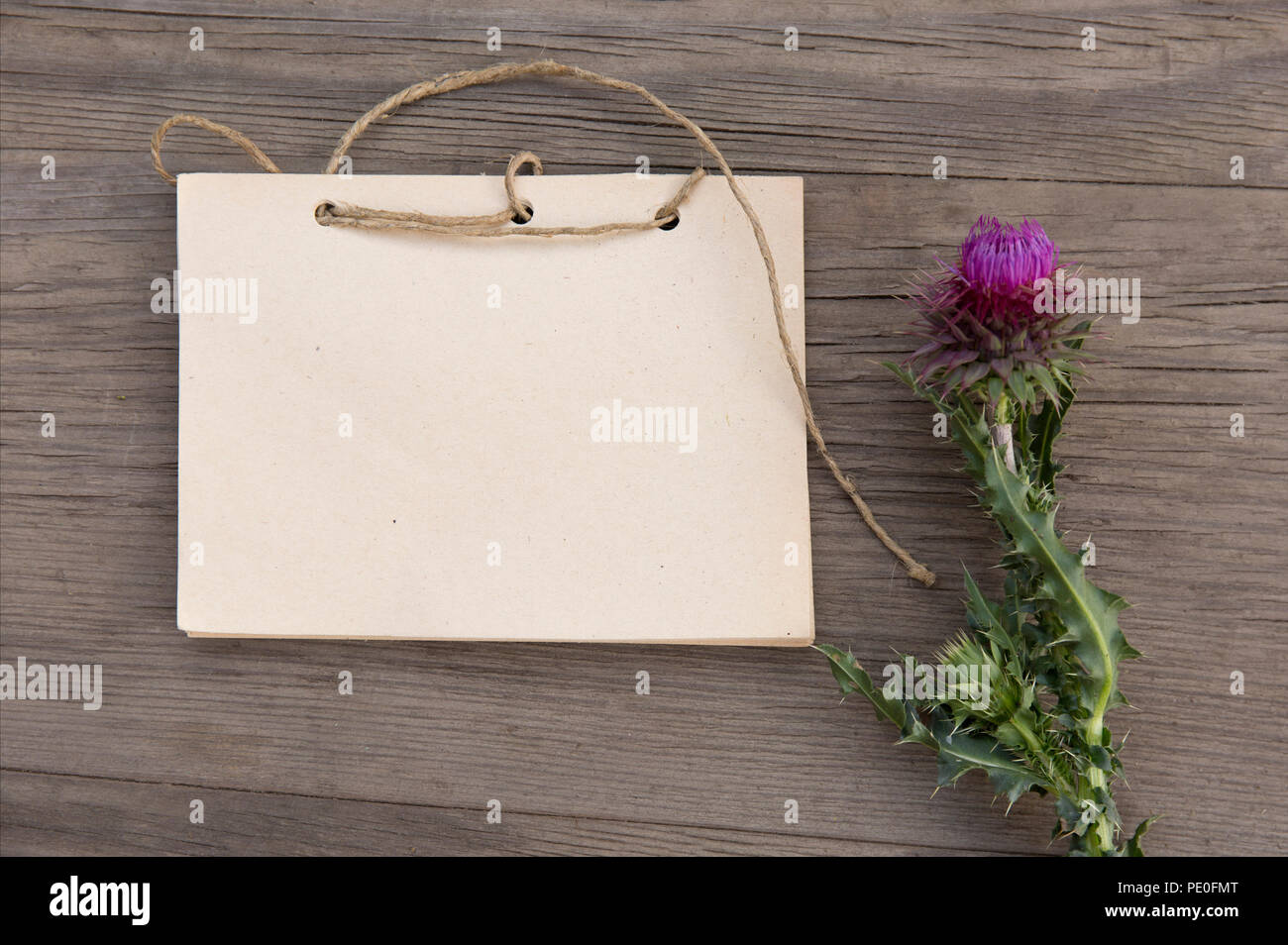 Wildflower with handmade craft notebook on old grunge wooden background ...