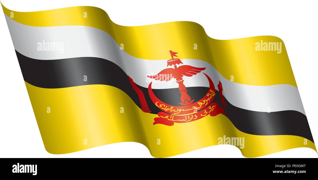 Brunei flag, vector illustration on a white background Stock Vector ...