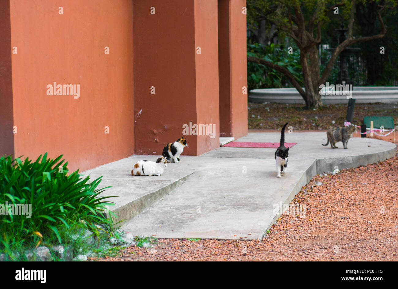 Living together group hi-res stock photography and images - Alamy