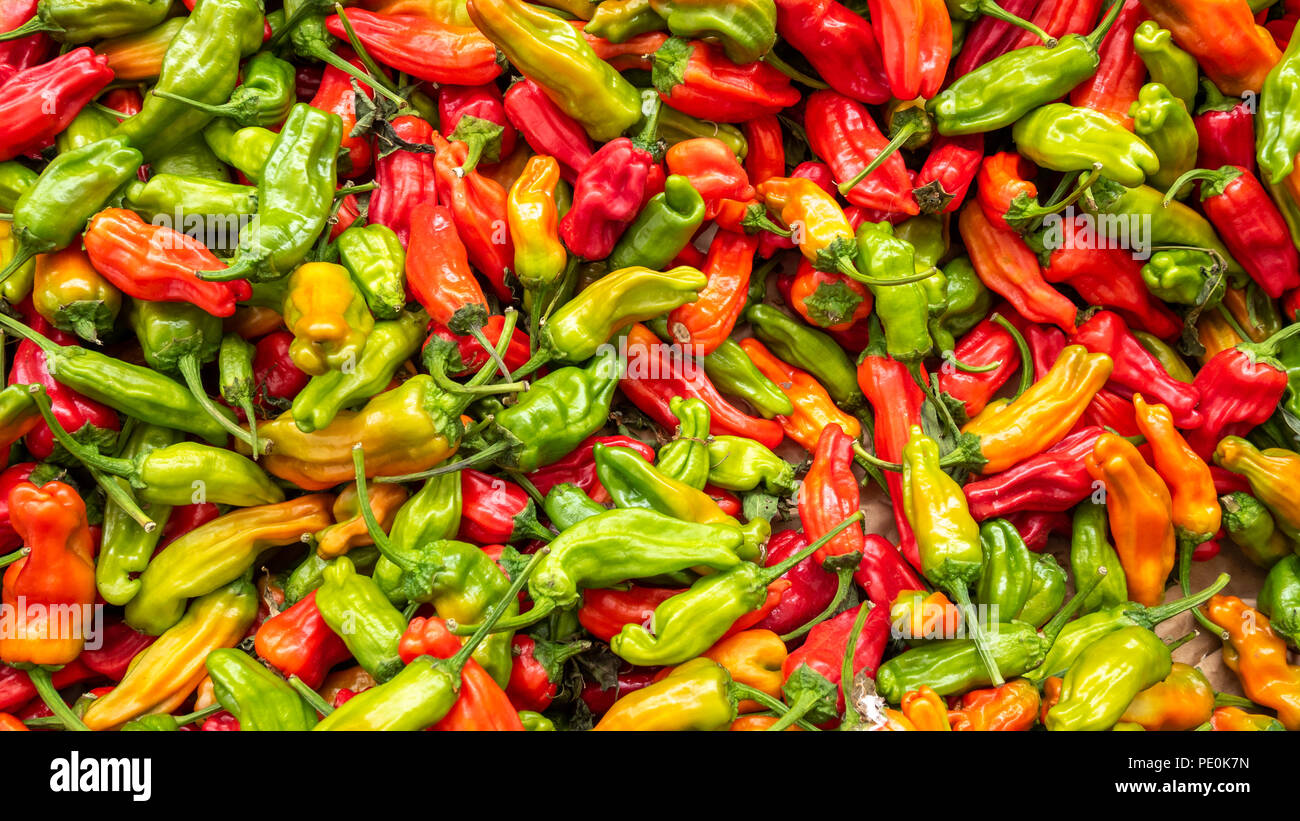 Green, Red and Orange Peppers for Sale Stock Photo - Alamy