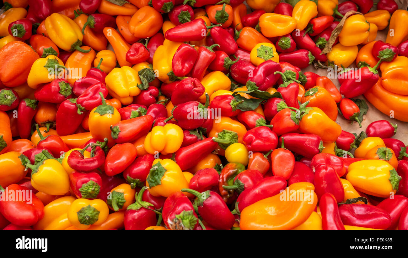 Longer pepper hi-res stock photography and images - Alamy