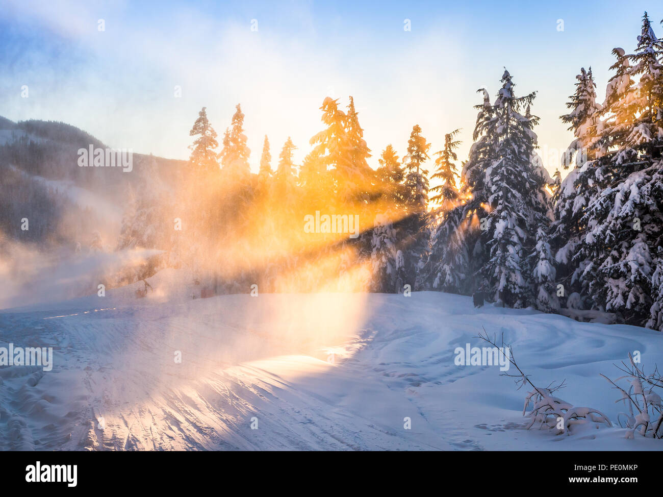 Ski light trees hi-res stock photography and images - Alamy