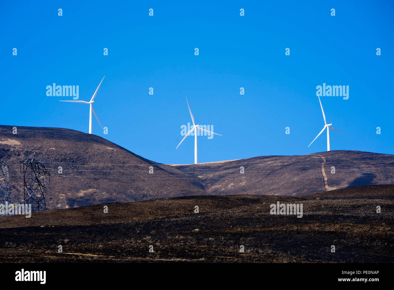 Wind electricity power station with fan blades rotated by wind power ...
