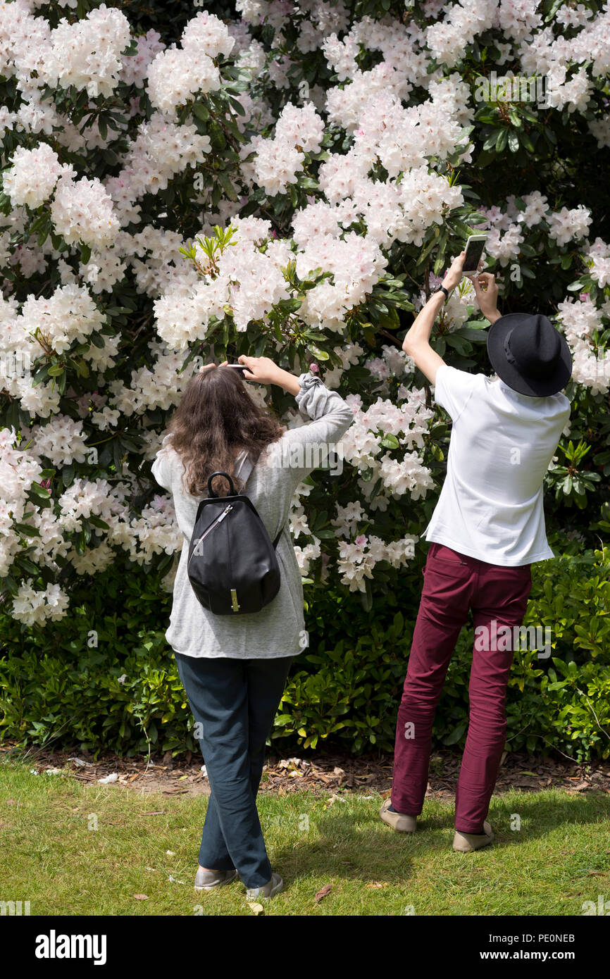 A girl with long hair and backpack and guy in black hat photographs by ...